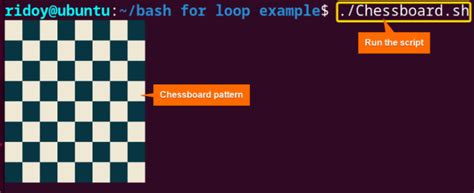 10 Common Bash “for” Loop Examples Basic To Intermediate Linuxsimply