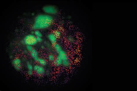 Targeting Proteins That Hijack Genetic Switches Offers New Avenues For Cancer Therapy The Varsity