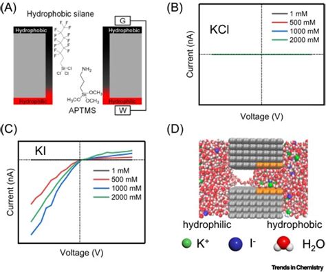 Rectified Janus Nanopores New Vitality For Ionic Diodes Trends In