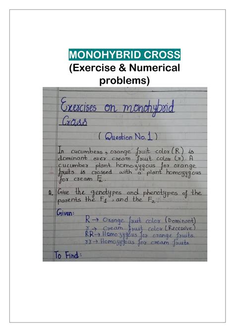 Monohybrid Cross Example
