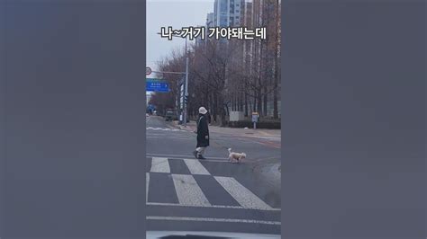 김기사 사모님 거기 한번 갈까 Youtube