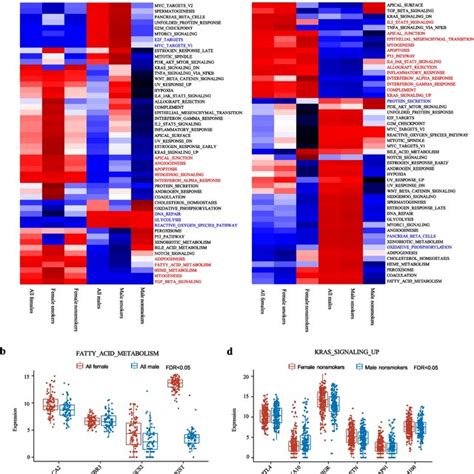 Sex Biased Immune Cells In Luads A B The Bubble Plots Display The Sex Biased Immune Cells In Luads A B The Bubble Plots Display The