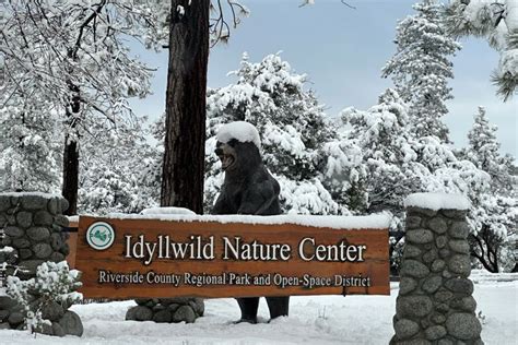 The Essential Guide To Idyllwild California