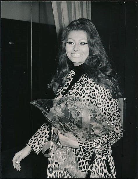 1960s Original Photo Sophia Loren In Leopard Skin Coat Rare Smiling