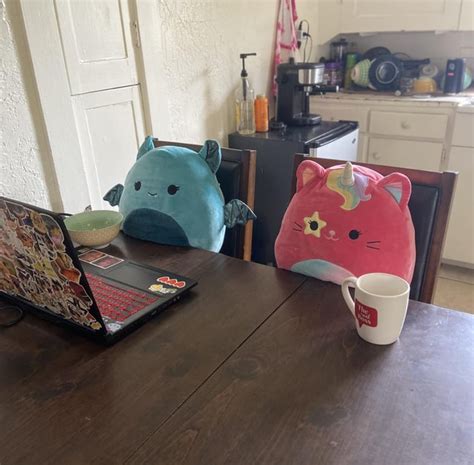 Nathan Cat Squish R Squishmallow