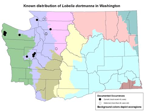Washington Field Guide
