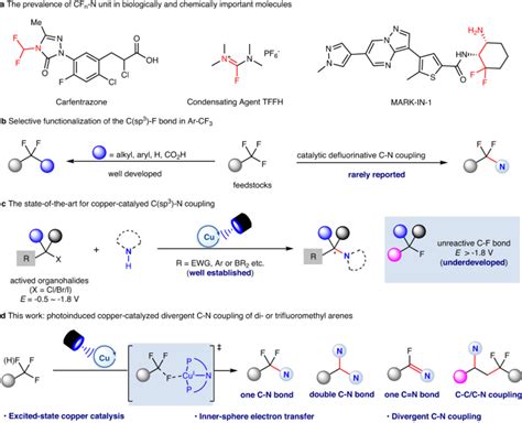 光诱导铜催化 C N 与三氟甲基化芳烃的偶联 Nature Communications X Mol