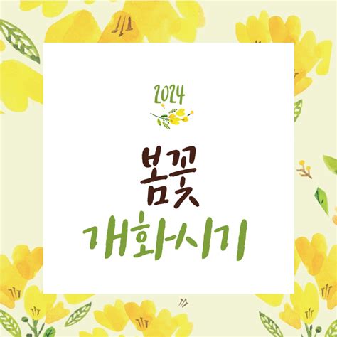 2024 봄꽃 개화시기