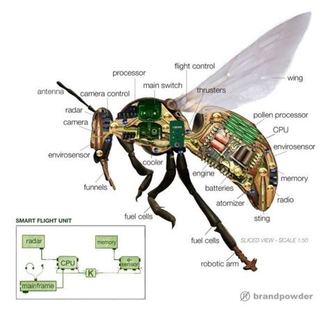Insect Size Spy Drones Unveiled Whiteout Press