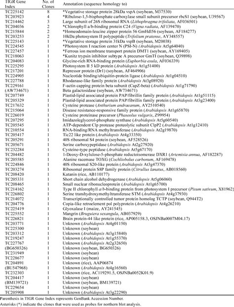 Soybean Ests Isolated By Ssh And Differential Screening Download Table