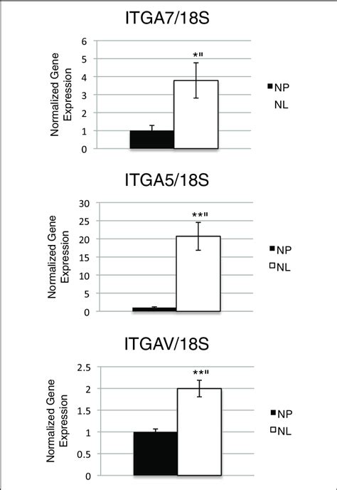 Taqman Quantitative Polymerase Chain Reaction Qpcr Performed On