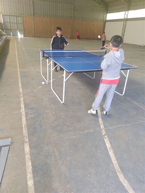 Taller De Tenis De Mesa Para Nuestra Escuela Daleprofe Proyectos