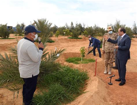 مبتدا جولة الرئيس السيسى داخل مشروعات الاستصلاح الزراعى فى توشكى