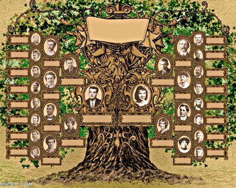 دار المحفوظات المصرية شجرة العائلة