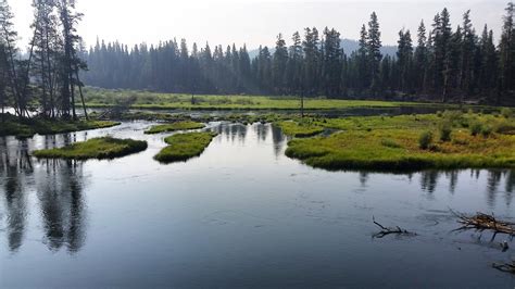 The Wetlands Conservancy On Linkedin Spotted At Our Minthorn Preserve