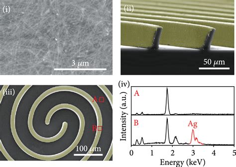 Highly Selective Biomimetic Flexible Tactile Sensor For Neuroprosthetics Research