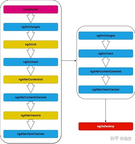 Angular系列教程之生命周期钩子 知乎