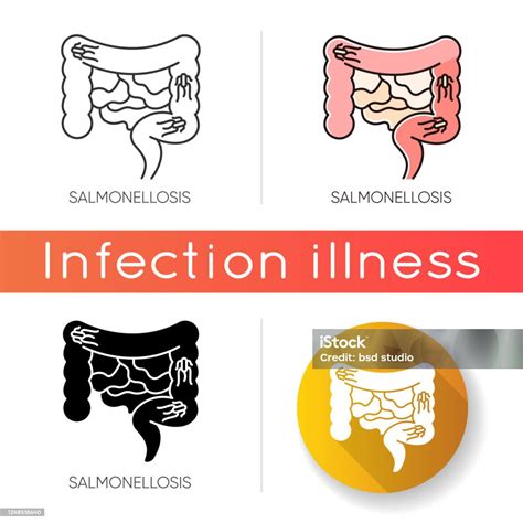 살모넬라시스 아이콘 리니어 블랙 및 Rgb 색상 스타일 소화 시스템 세균 감염 위장 질환 발열과 설사를 일으키는 미생물 격리된 벡터 그림 0명에 대한 스톡 벡터 아트 및