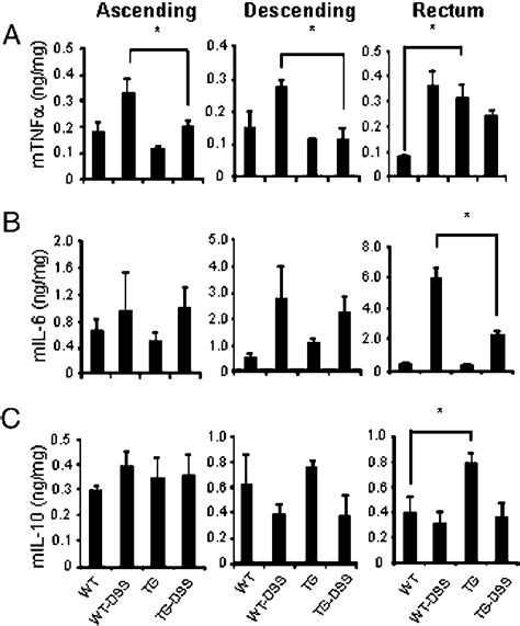 Colonic Cytokine Levels In Dss Colitis Day 6 Colon Segments Were Download Scientific Diagram