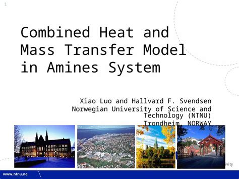 Ppt Combined Heat And Mass Transfer Model In Amines System Dokumentips