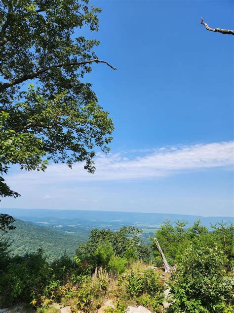 Overlook Ln 6 Pikeville Tn 37367 Trulia