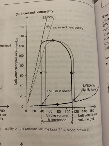 Ex Psy Exam Flashcards Quizlet