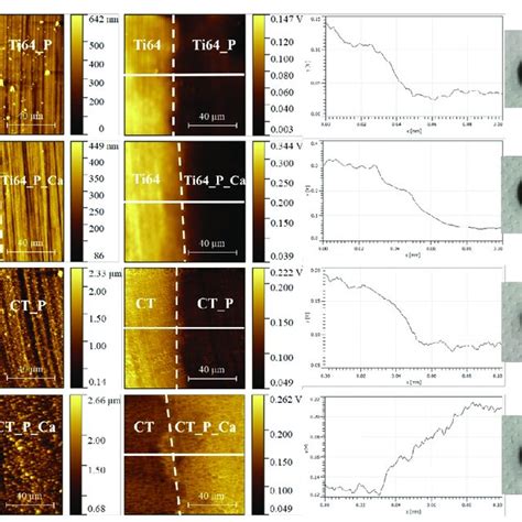 Topographical First Column And Surface Potential Images Second Download Scientific Diagram