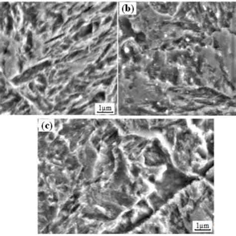 Sem Morphologies Of A Surface Layer B Subsurface Layer And C Download Scientific