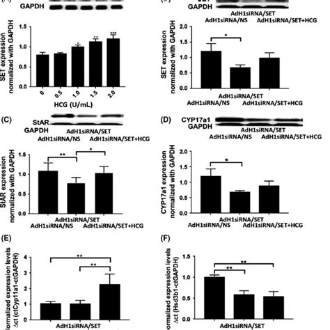 2 Glycosylation Patterns Of Lh And Hcg The Alpha Subunits Of Each