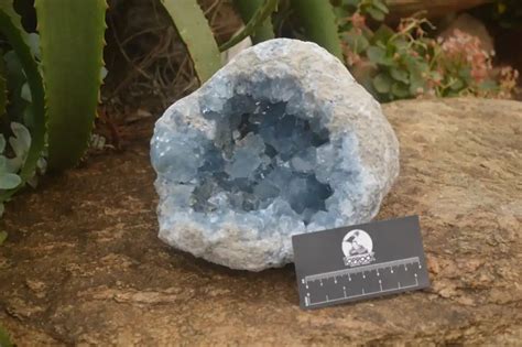 Natural Large Celestite Geode Specimen X 1 From Sakoany Madagascar