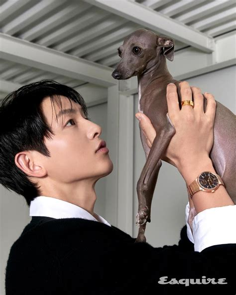 【フォト】少年のように澄んだ顔立ち圧倒的なソン・ジュンギのオーラ Chosun Online 朝鮮日報