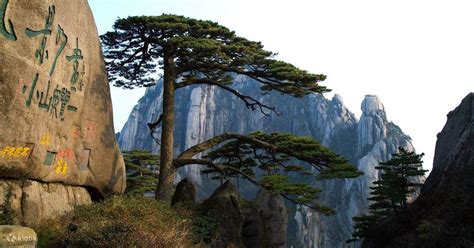 安徽黃山1日遊 Klook香港