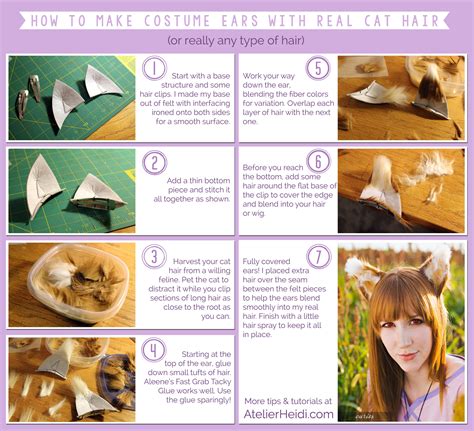 Mastering The Cat Ear Hair Tutorial Step By Step Guide