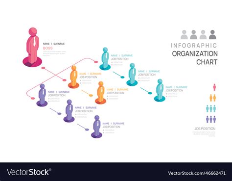 Infographic Template For Organization Chart Vector Image