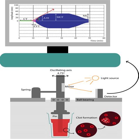 Thromboelastometry Method For Clot Evaluation A Pin That Spins Around