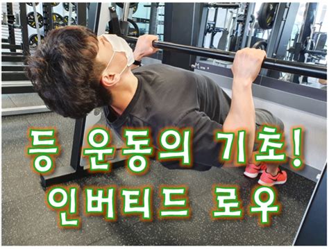 인버티드 로우 효과 운동방법 주의점[파주헬스 교하헬스 파주pt 교하pt] 네이버 블로그