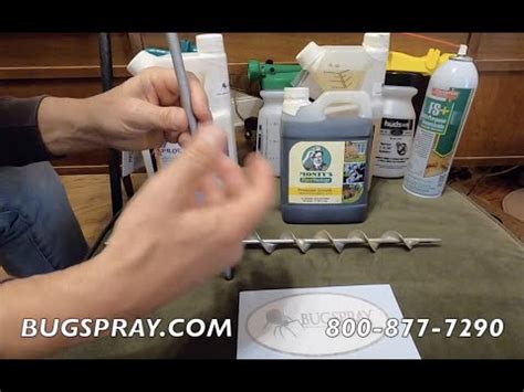 Tree Borer Beetle Control And Treatments