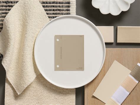 Universal Beige Sw Color Of The Year 2026