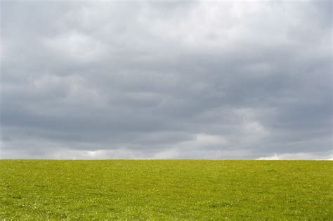 Empty Field Blank Template Imgflip
