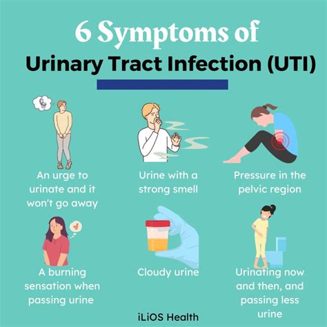 Uti Symptoms And Causes Urinary Tract Infection Treatments