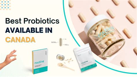 The Best Womens Probiotics In Canada For Gut And Vaginal Health