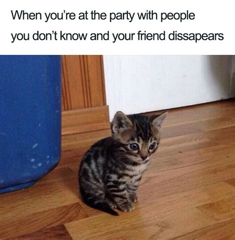 30 Funny Memes That Will Make Every Introvert Laugh Out Loud Bored Panda