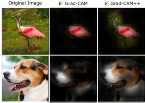 A Tutorial On Benchmarking And Tuning Model Explanations Advanced AI Explainability With