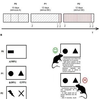 A Rewards Collected In PST Throughout The Entire Experiment B Time Download Scientific