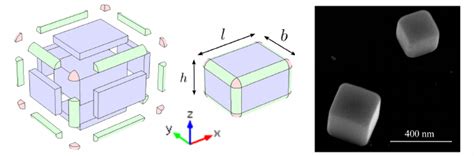 Left The Individual Pieces Which Can Be Used To Assemble The Rounded Download Scientific