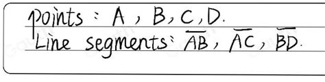 Solved Identify All Points And Line Segments In The Picture Below