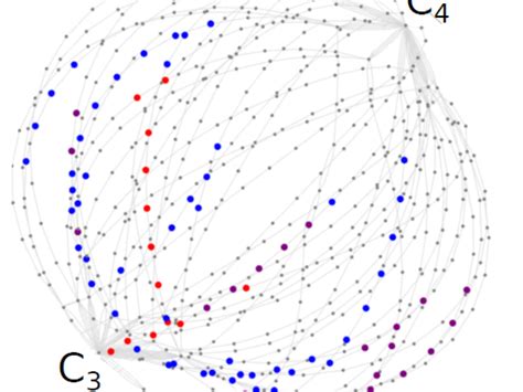The Evolution Of Photosynthesis Interviews