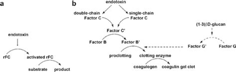 2 Recombinant Factor C Rfc Pyrogen Assay A The Novel Single Step Download Scientific