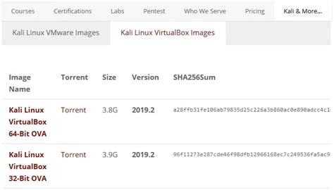 How To Install Kali Linux On VirtualBox An Expert Guide
