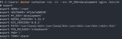 docker pass environment variables cherry servers